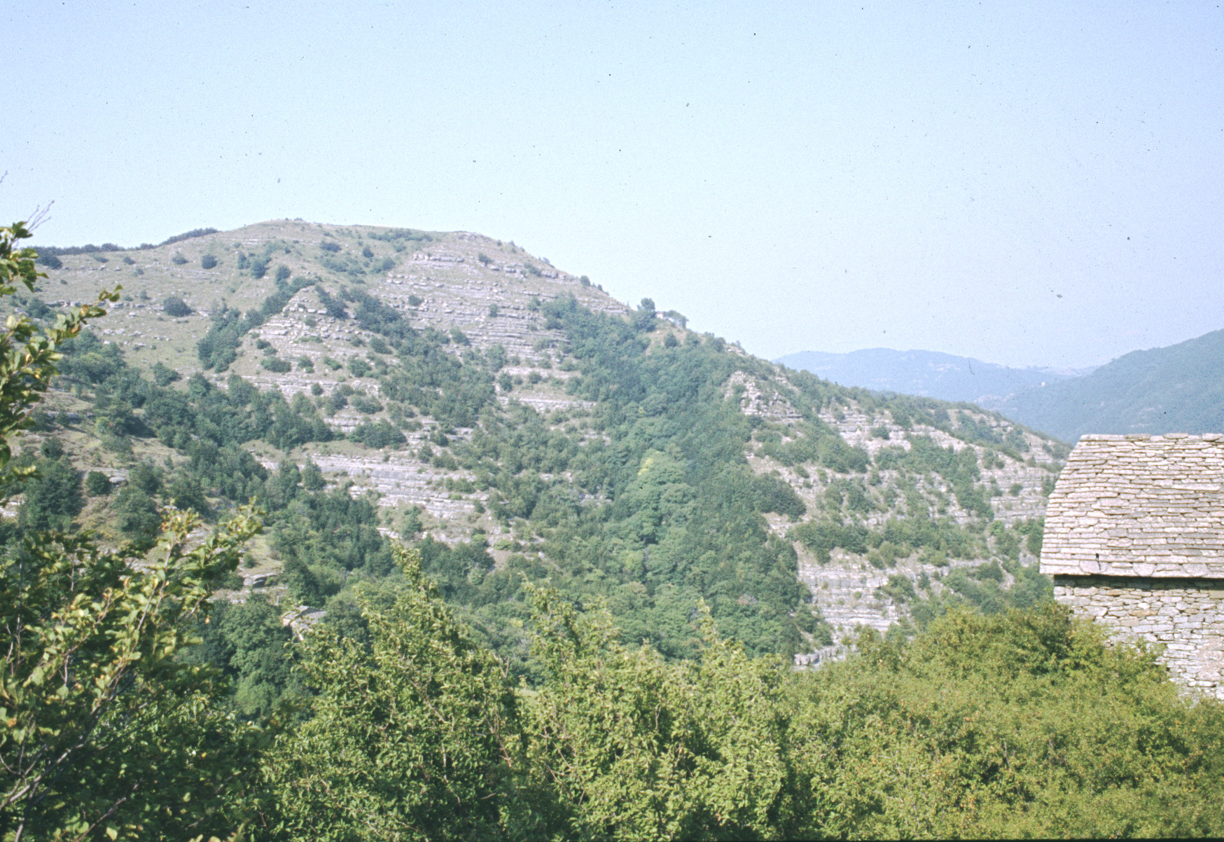 Media - Museo Genti di Montagna di Palazzuolo sul Senio
